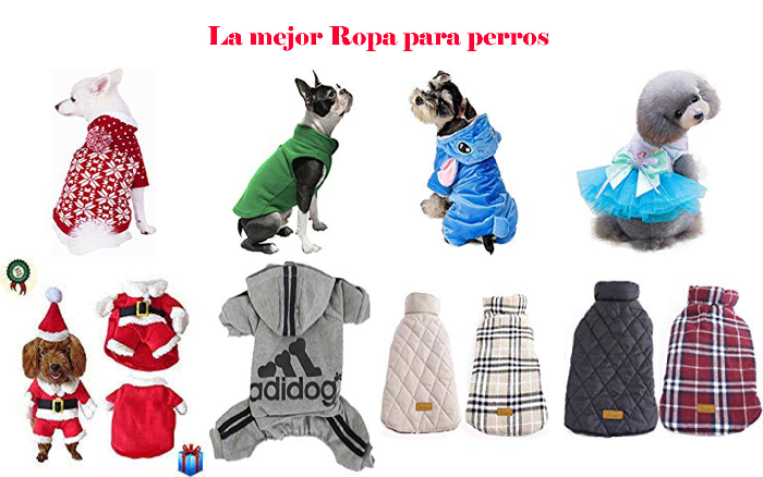 Accesorios :: Tails Party